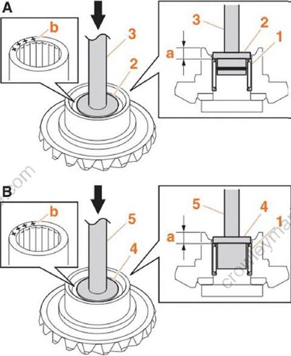Lower Unit [Drive Shaft And Lower Case (Counter Rotation Model)] [2017 ...