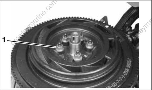 Service Manual 115-200 HP 60° V4-V6 E-TEC Electrical And Ignition ...