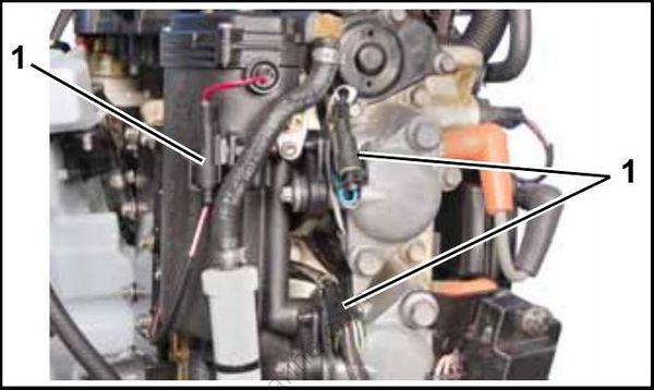 Service Manual 15-30 HP E-TEC Fuel System [Fuel Component Servicing ...