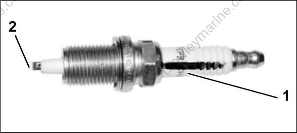 Service Manual Evinrude E-TEC 40-60 HP Maintenance [Spark Plugs ...