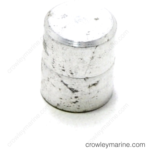 0300077 Water Intake Screen Plug - Evinrude | Crowley Marine