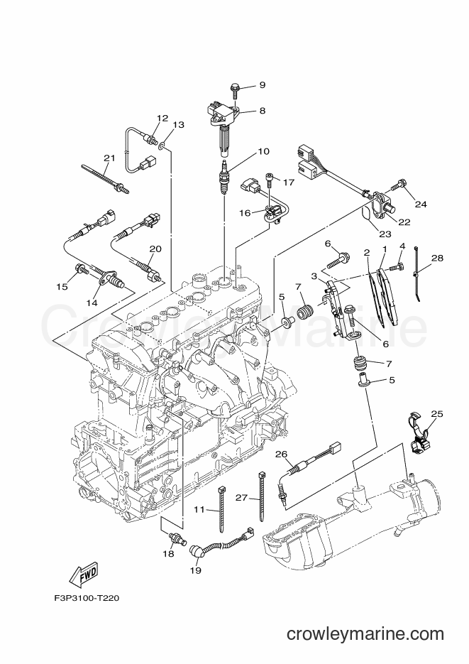 ELECTRICAL 2 - 2018 WaveRunner GP1800-T GP1800-T (F3P3) [020] | Crowley ...
